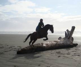 Galloping Get Away - TrailMeister